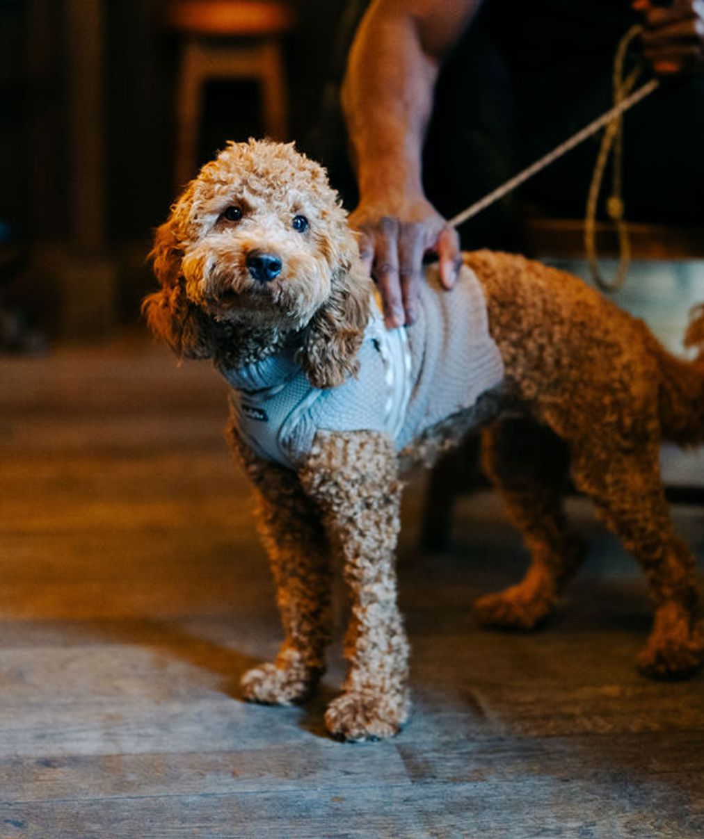 Old Nick Holborn | Your Local London Pub for Drinks & Good Times